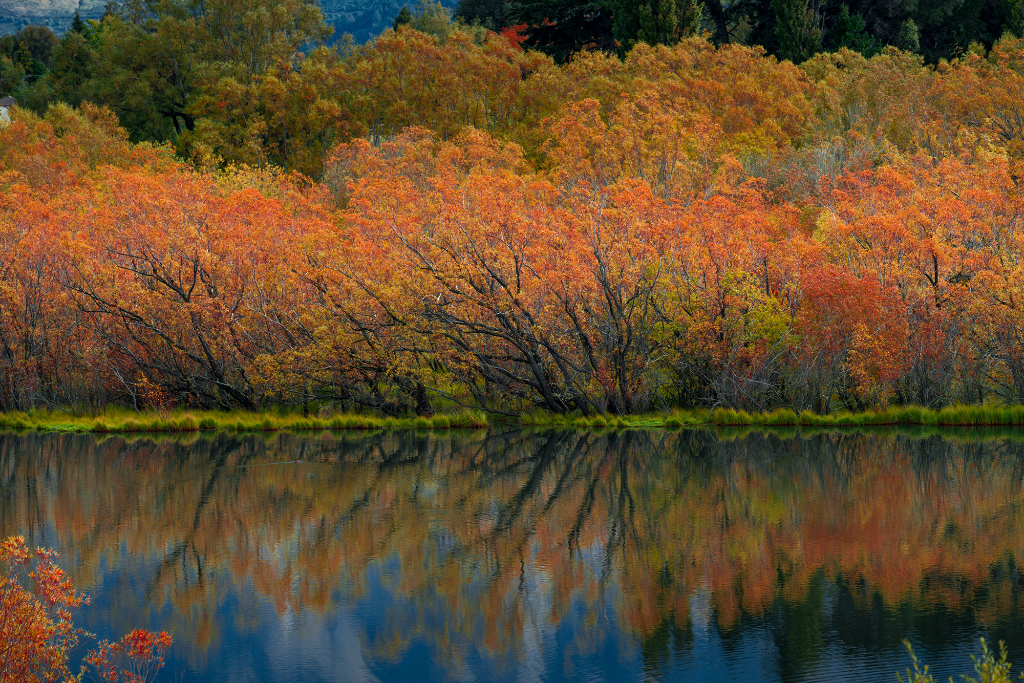 A Guide to Travelling New Zealand's South Island in 3 Weeks
